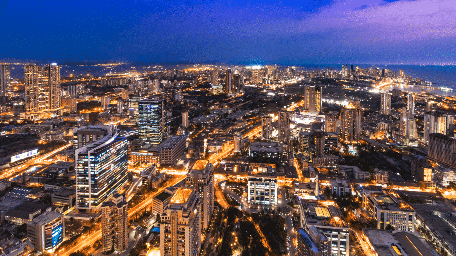 A promising future - Toluna